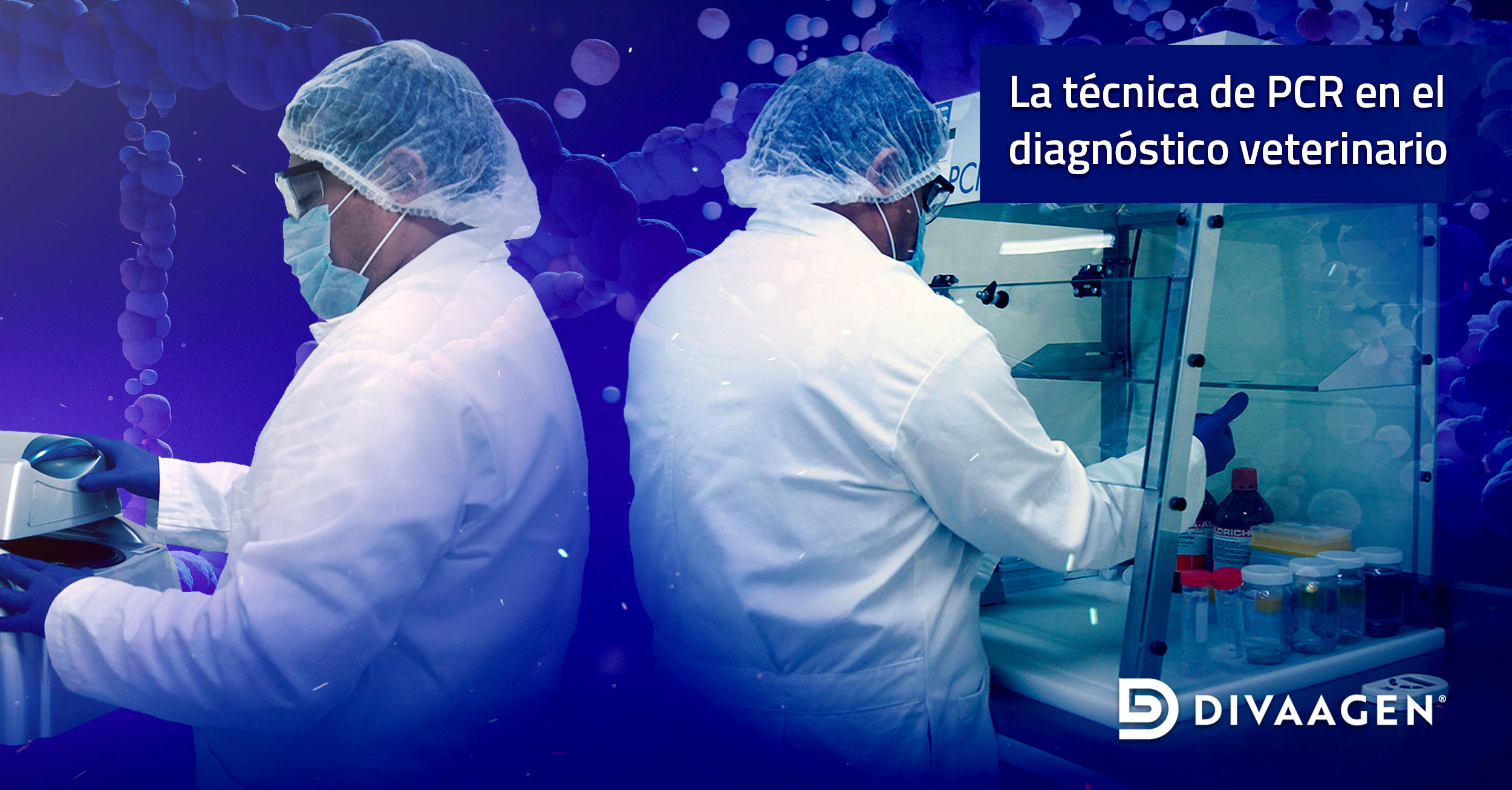 La técnica de PCR en el diagnóstico veterinario - Divaagen
